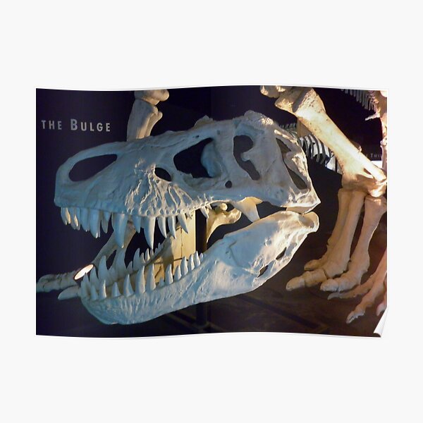 Fossil Fuel Posters | Redbubble