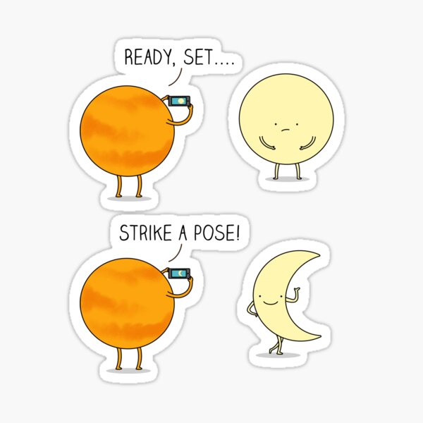 "Picture perfect! " Sticker by Milkyprint | Redbubble