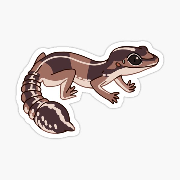 "Baby African Fat Tail Gecko" Sticker for Sale by Moopdrea | Redbubble