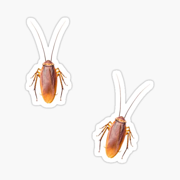 "Scary realistic Cockroach Design" Sticker for Sale by LaughingProf ...