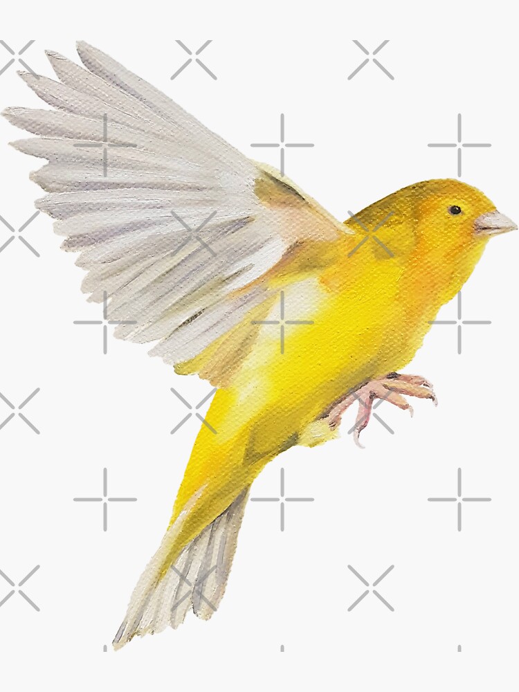 "Canary in Flight" Sticker by EmilyBickell | Redbubble