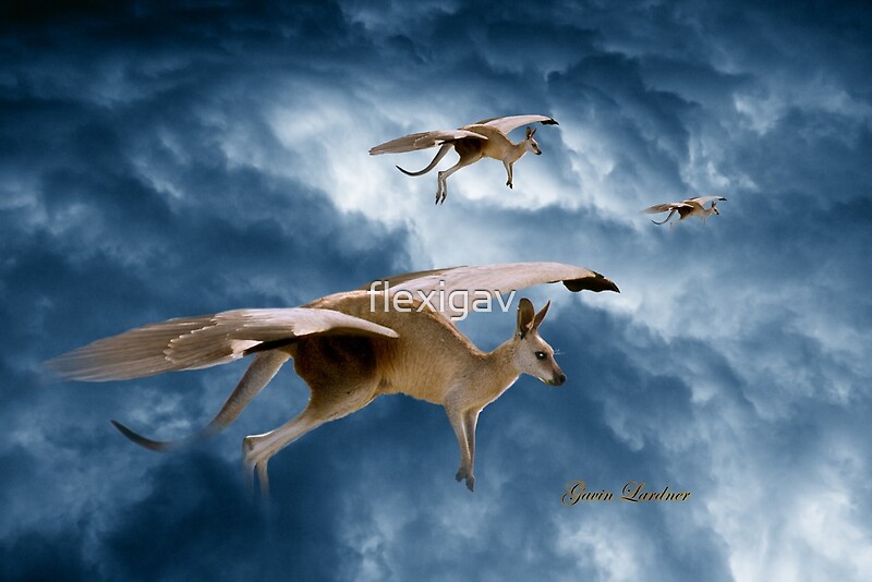 "Flying Kangaroos" by flexigav | Redbubble