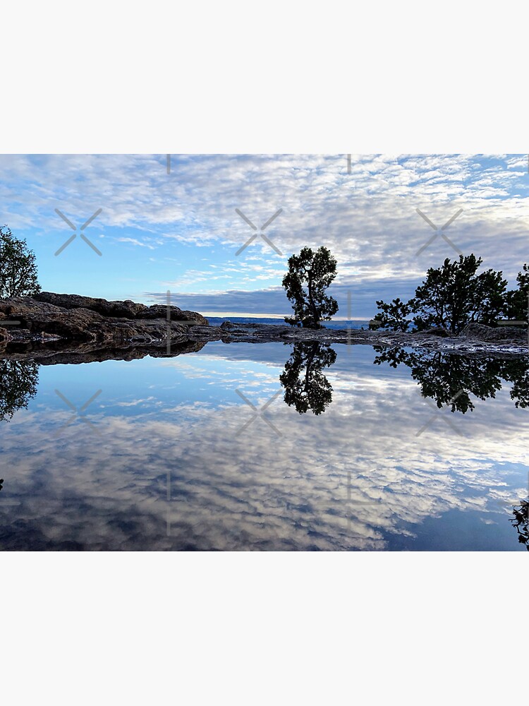 "Reflection" Sticker for Sale by nswany4 | Redbubble