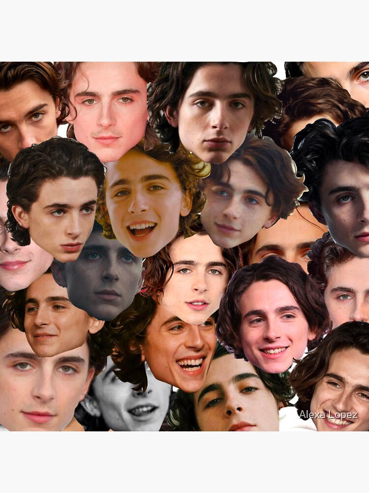 Pegatina «Collage de Timothee Chalamet» de Alexa3110 | Redbubble