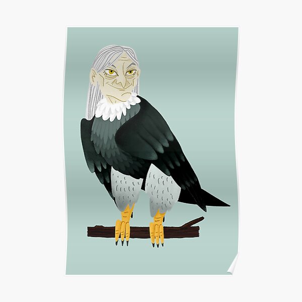 "Harpy" Poster for Sale by BarracudApps | Redbubble