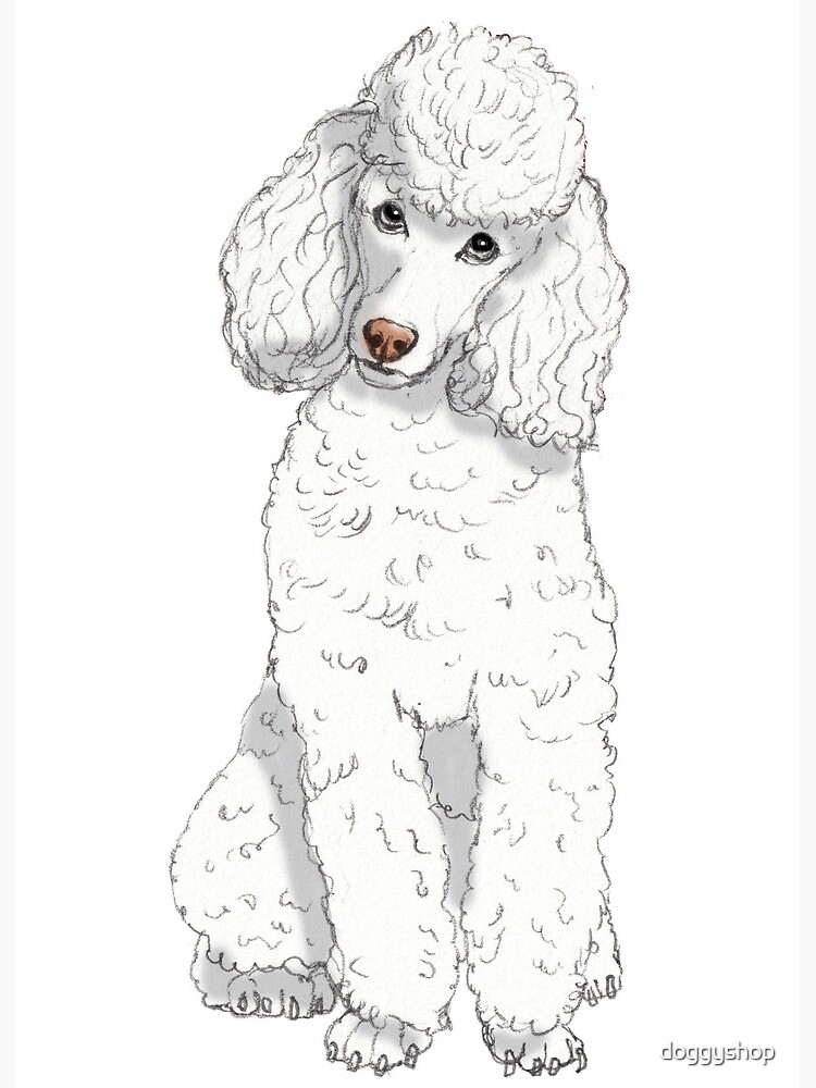 Paper Standard Poodle Line Drawing. Paper & Party Supplies etna.com.pe