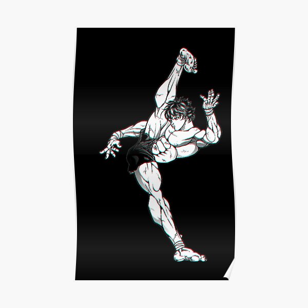 Aikido Posters | Redbubble
