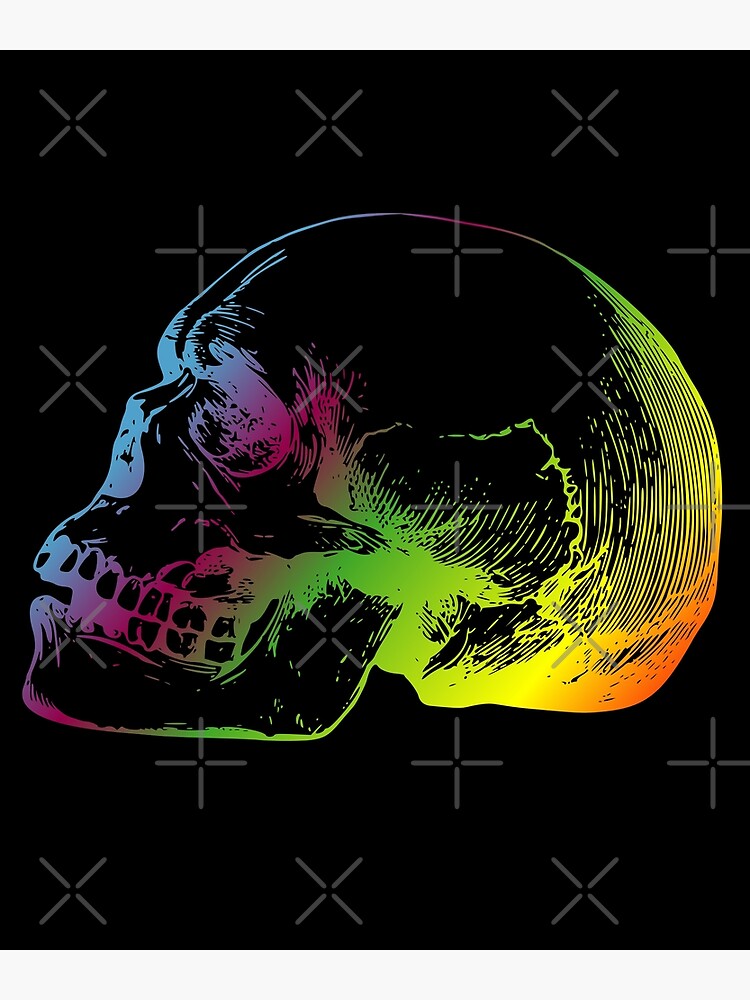 "Rainbow Skull" Poster by TheFlying6 | Redbubble