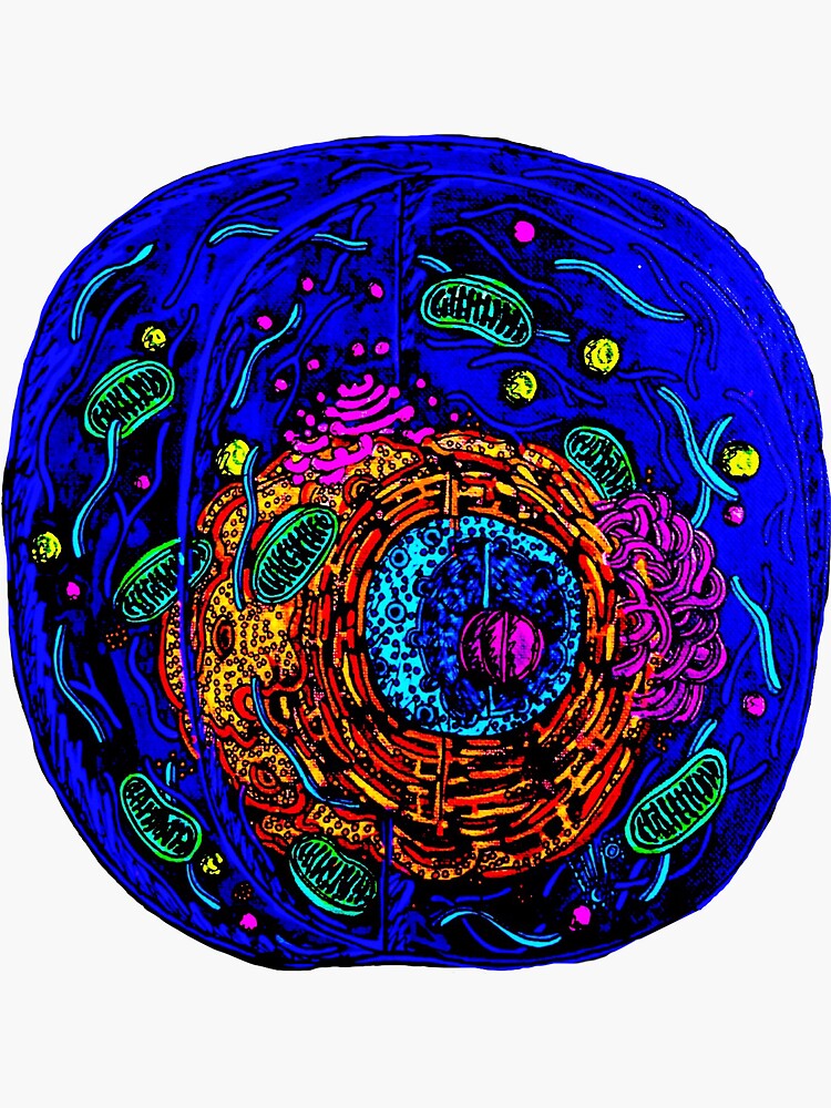 "Animal Cell" Sticker for Sale by hansonsanatomy | Redbubble