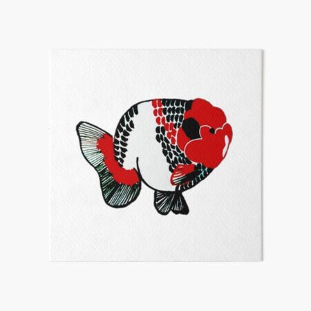 "Ranchu Tri Color SVR Goldfish Logo" Art Board Print by Nosnah | Redbubble