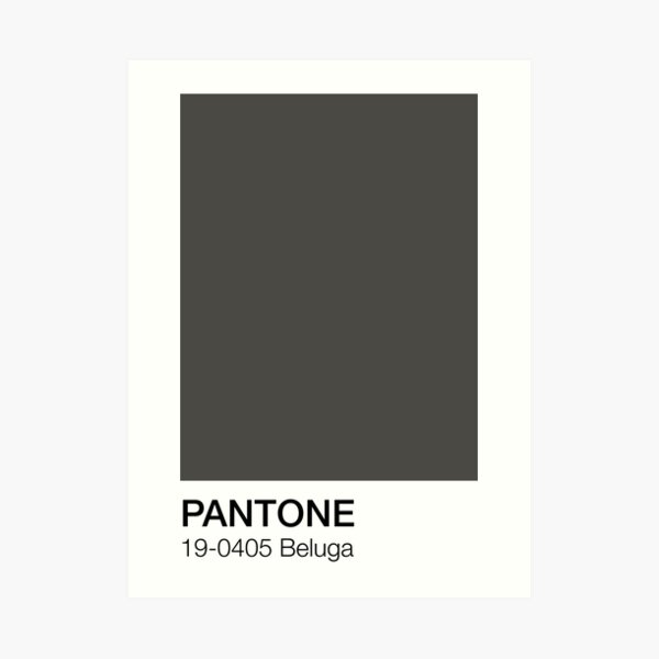 "Beluga Pantone Shade " Art Print by allilapps | Redbubble