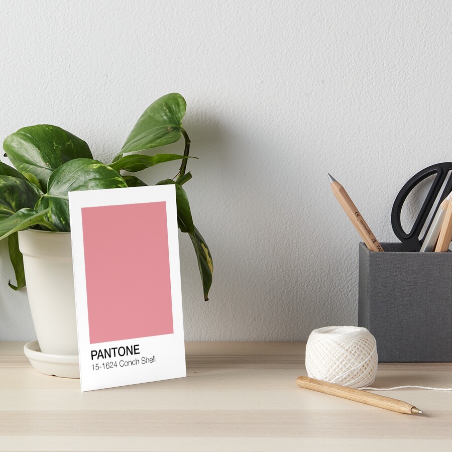 "Conch Shell Pantone Shade " Art Board Print for Sale by allilapps ...