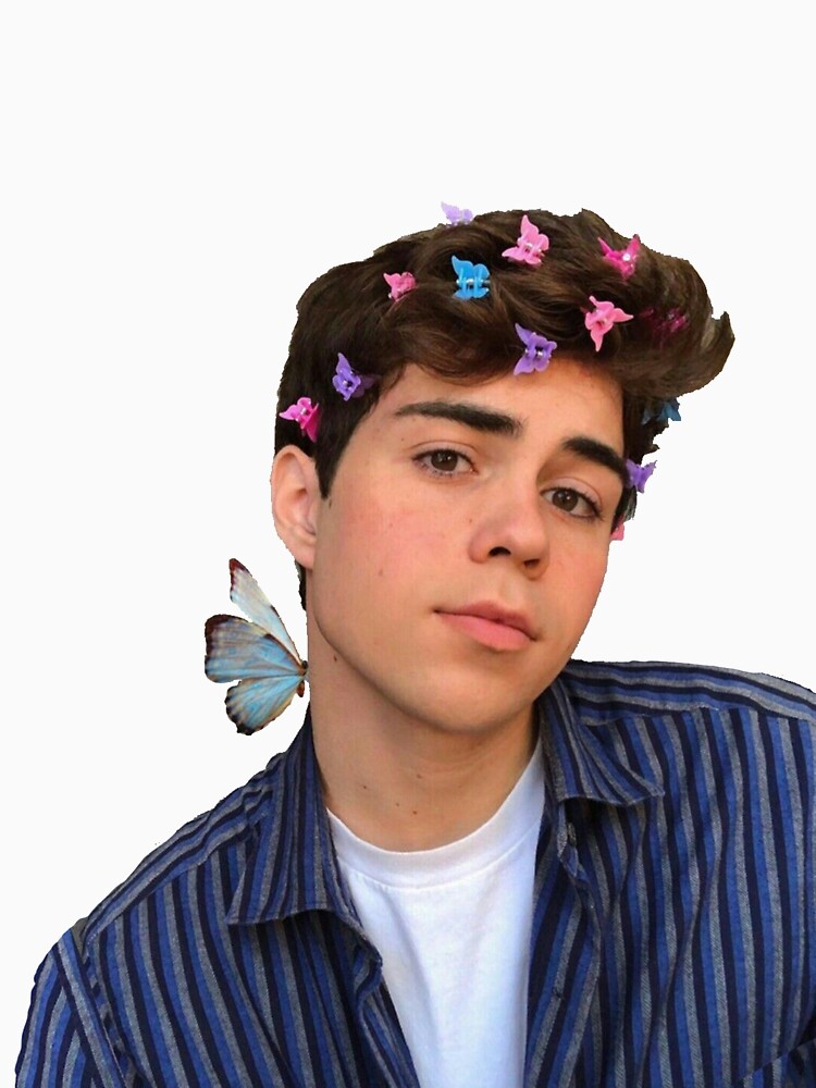 "Benji Krol Butterfly Sticker" T-shirt for Sale by aesthetics4you ...
