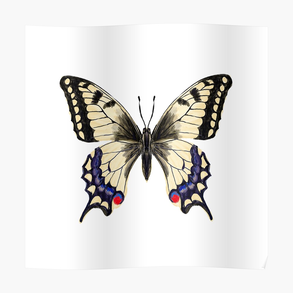 Prints Digital Prints Swallowtail Butterfly Illustration Print etna.com.pe