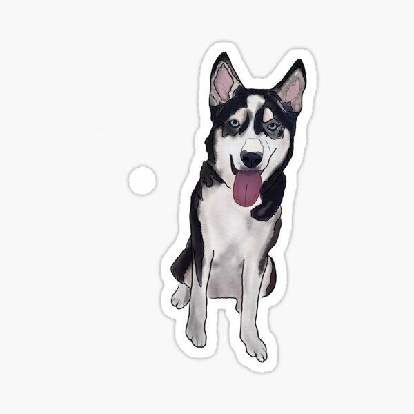 "Husky/Pomsky Drawing" Sticker for Sale by Dailek | Redbubble