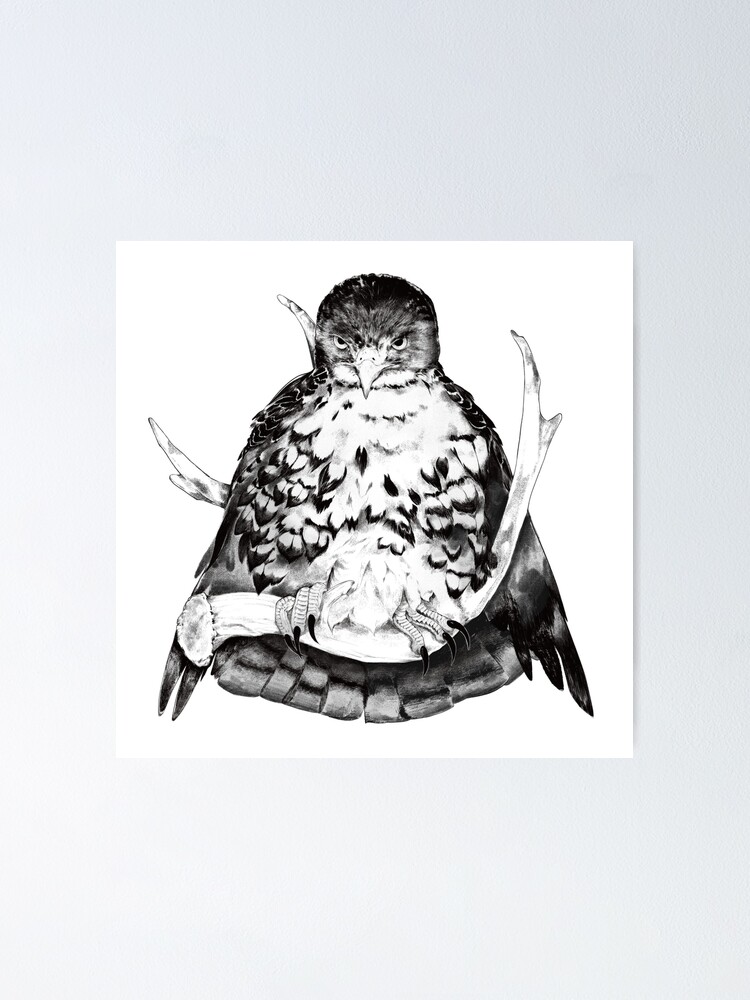 "Grumpy Hawk on an Antler" Poster by brightstag | Redbubble