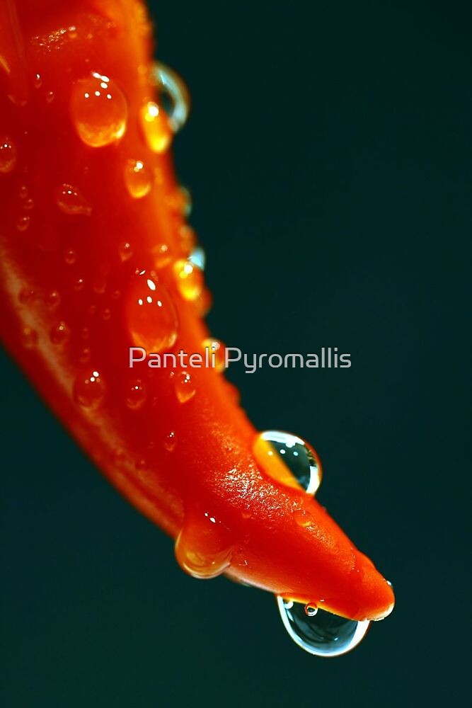 "Hot Drop" by Panteli Pyromallis | Redbubble