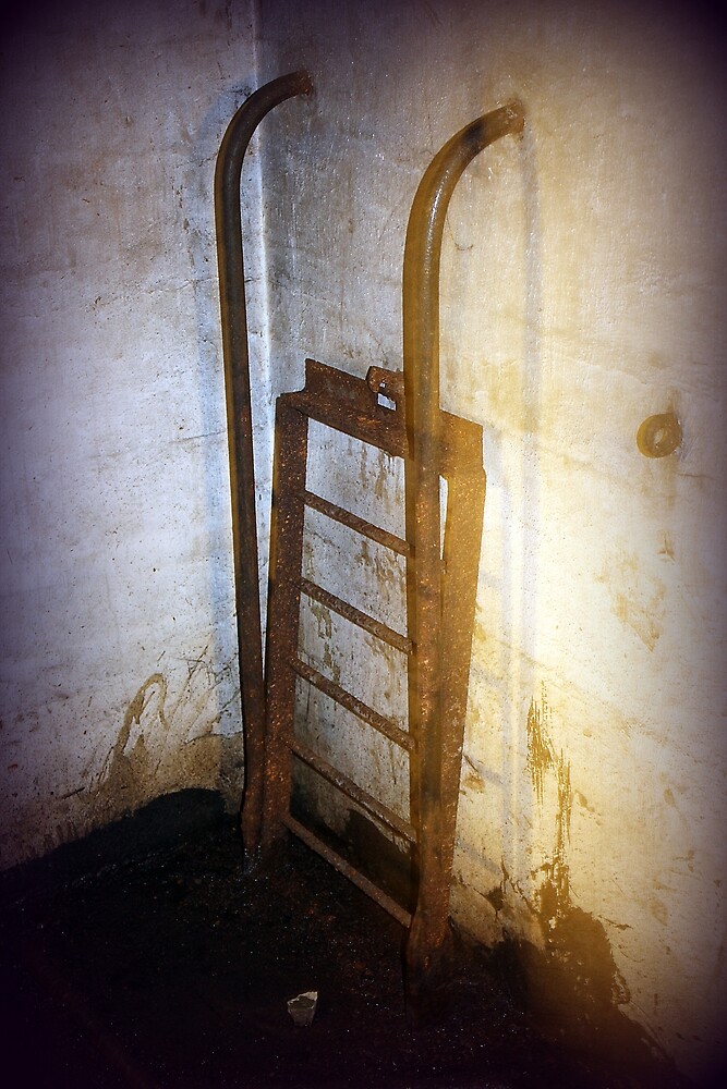 "Battery Mishler ladder going nowhere" by Dawna Morton | Redbubble