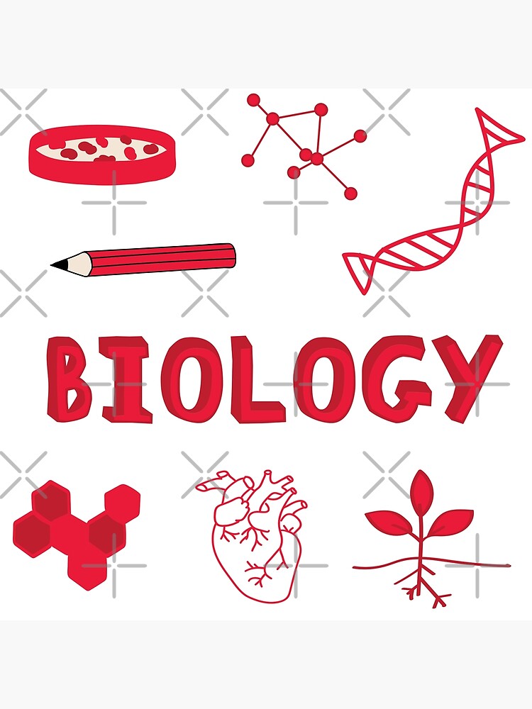 "aesthetic, Red Biology Subject Pack" Art Print by The-Goods | Redbubble