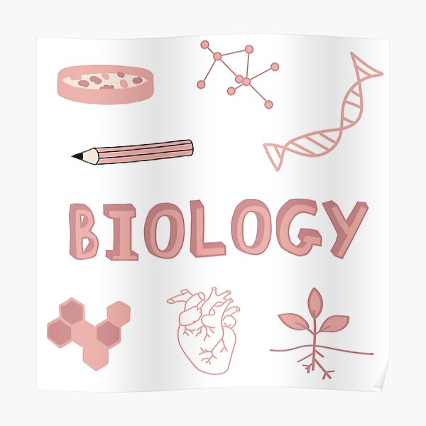 "Peach Blush Pink Biology Subject Pack" Poster by The-Goods | Redbubble