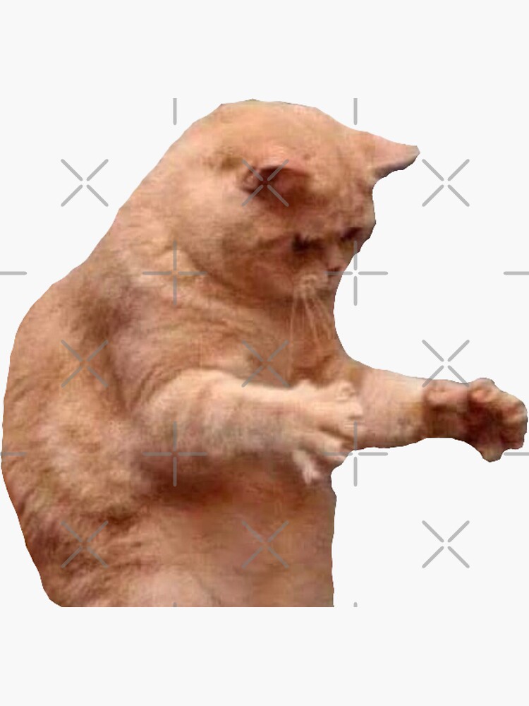 "CLASSIC!! Balloon Cat Meme" Sticker for Sale by PopCultureWow | Redbubble