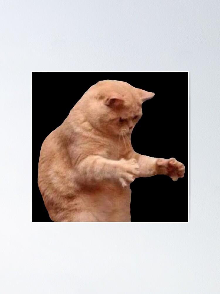 "CLASSIC!! Balloon Cat Meme" Poster for Sale by PopCultureWow | Redbubble