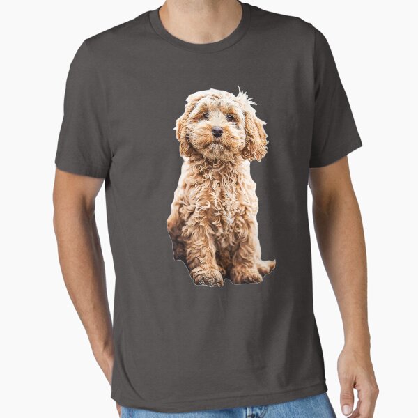 Labradoodle Merch & Gifts for Sale | Redbubble