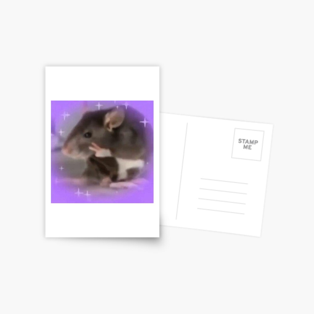 "rat mood meme" Sticker for Sale by paige-anderson | Redbubble