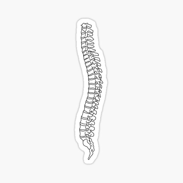 "black and white minimalist human spine" Sticker for Sale by cnaukam ...