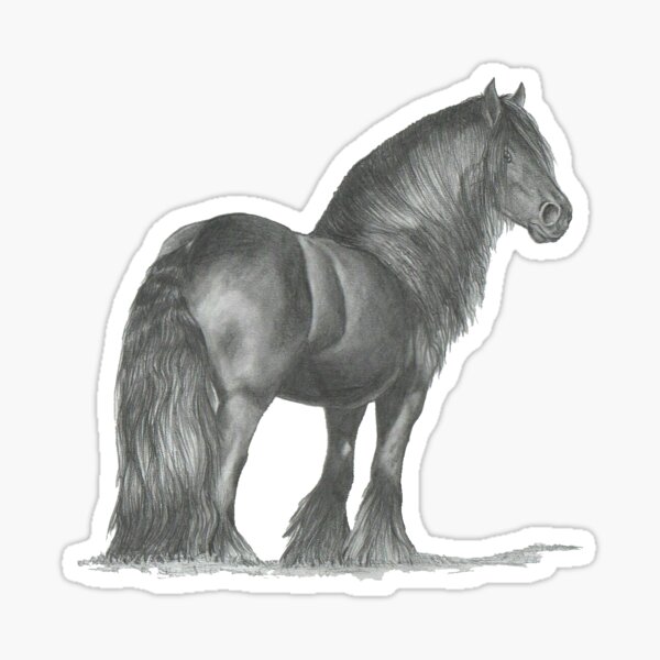 "gypsy vanner horse pencil" Sticker for Sale by ButterflyBottom | Redbubble
