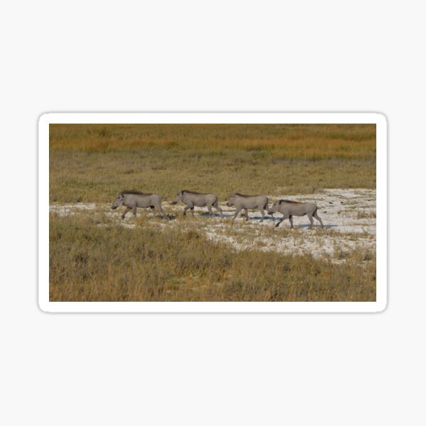 "Parade Of Warthogs" Sticker for Sale by twurl | Redbubble