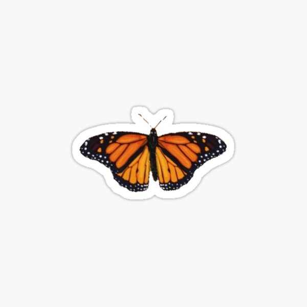 "aesthetic orange butterfly ? " Sticker by peachy-rose | Redbubble