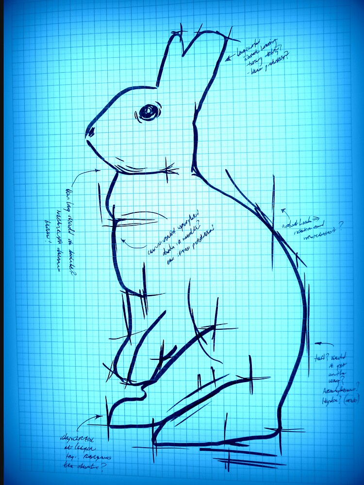 "Rabbit blueprint" T-shirt for Sale by cathyartist | Redbubble | rabbit ...