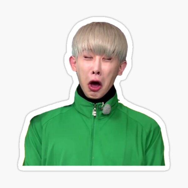 "Wonho Monsta x ray meme" Sticker by MOONBEBEdesigns | Redbubble