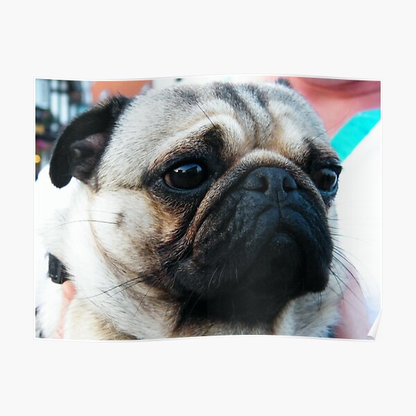 "'Frank' . . . (MIB) . . . " Poster by TREVOR34 | Redbubble