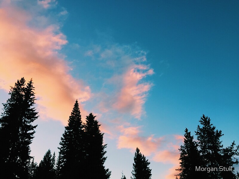 "into the forest" by Morgan Stull | Redbubble