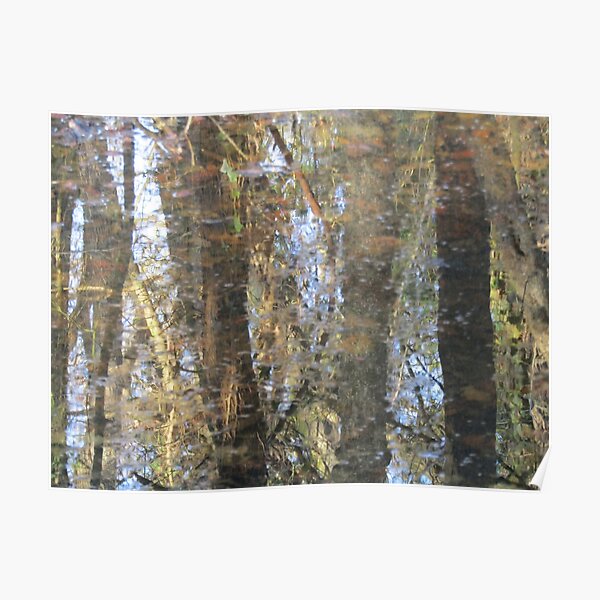 "trees reflected in a large puddle" Poster for Sale by joshuarainbird ...