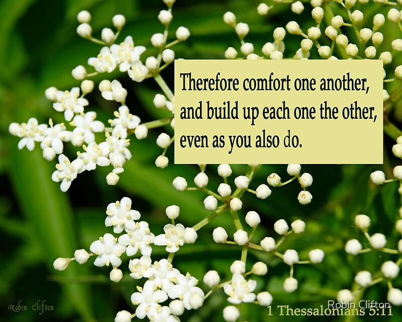 "Comfort One Another ~ 1 Thessalonians 5:11" by Robin Clifton | Redbubble