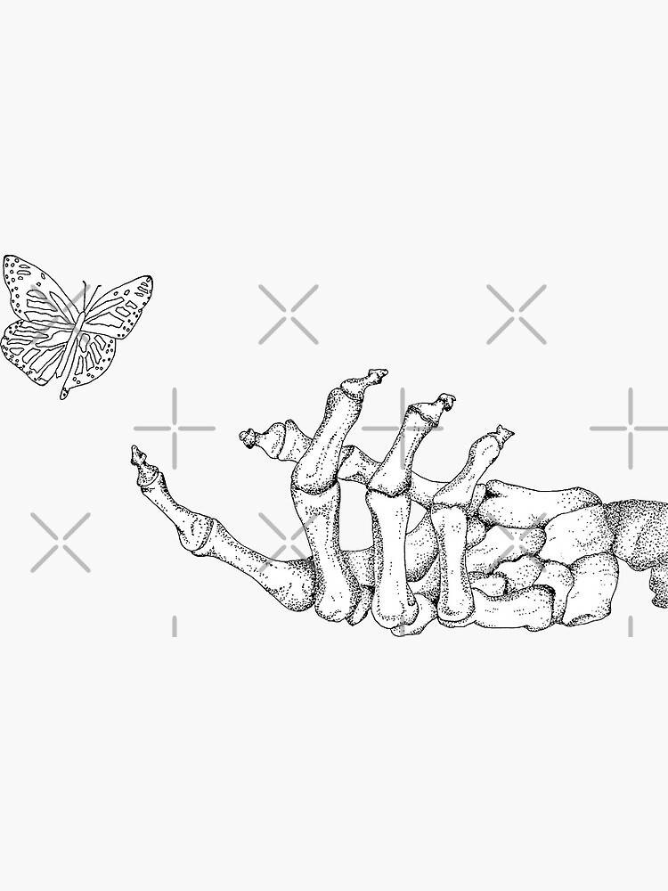 "Skeleton Hand and Butterfly" Sticker for Sale by throwerbre | Redbubble