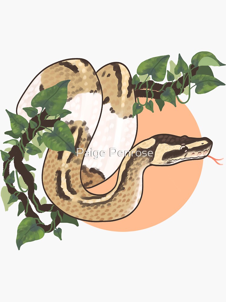 "Ball Python on a Vine" Sticker for Sale by starrypaige | Redbubble