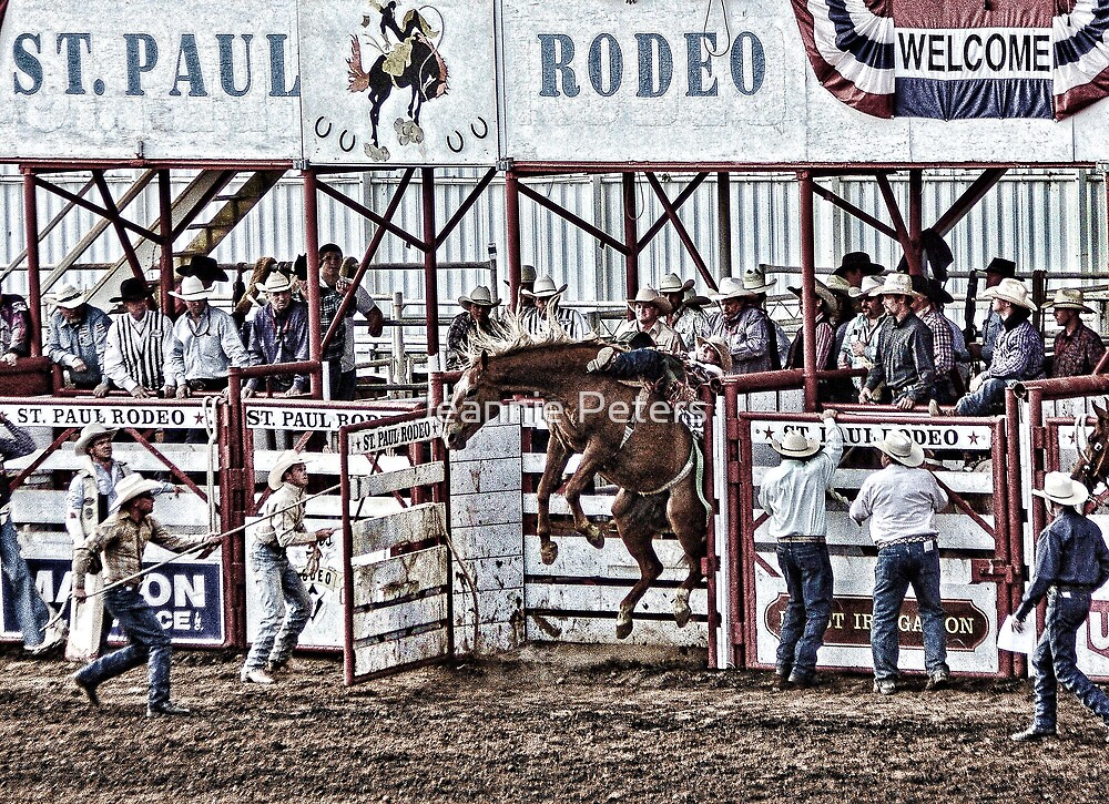 "wild ride st paul rodeo" by Jeannie Peters | Redbubble