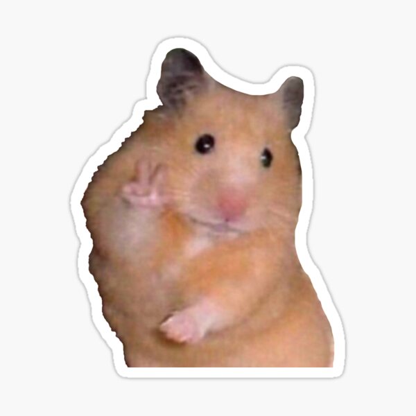 "Hamster Peace Sign" Sticker for Sale by izzykang | Redbubble
