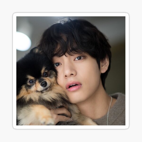 "Taehyung with Yeontan - BTS