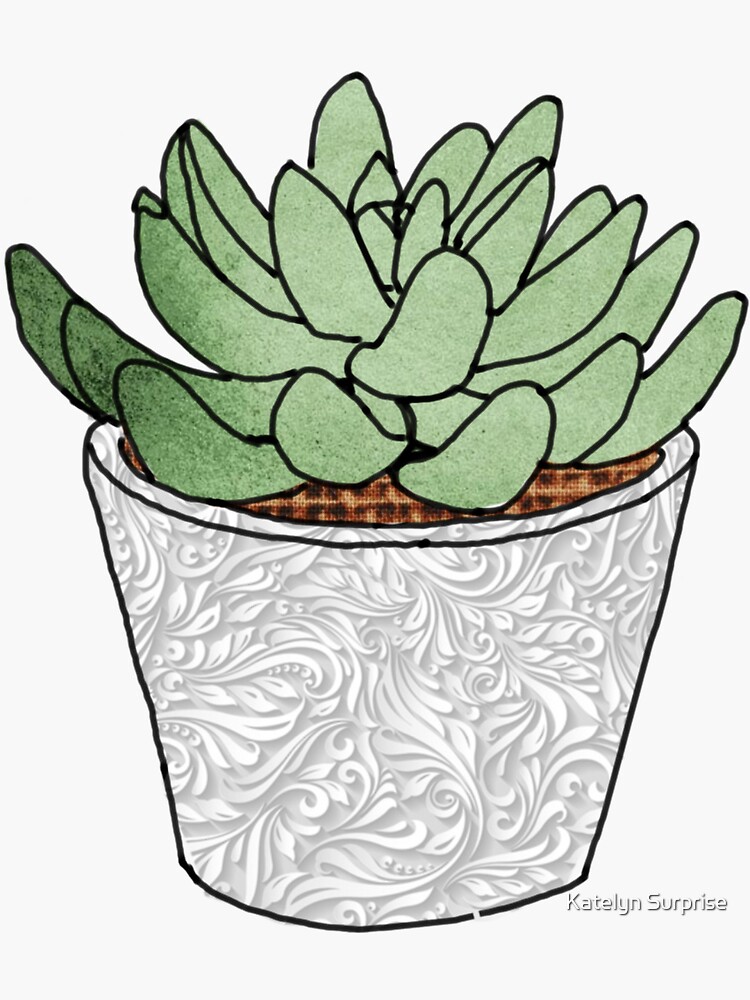 "Succulent sticker" Sticker for Sale by Yellowdaisi | Redbubble
