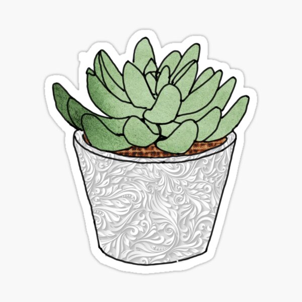 "Succulent sticker" Sticker for Sale by Yellowdaisi | Redbubble
