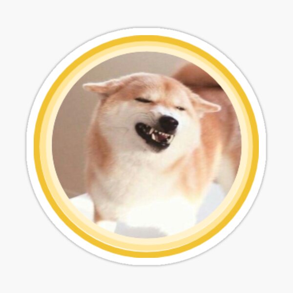 "angry shibe" Sticker for Sale by sarapulido | Redbubble