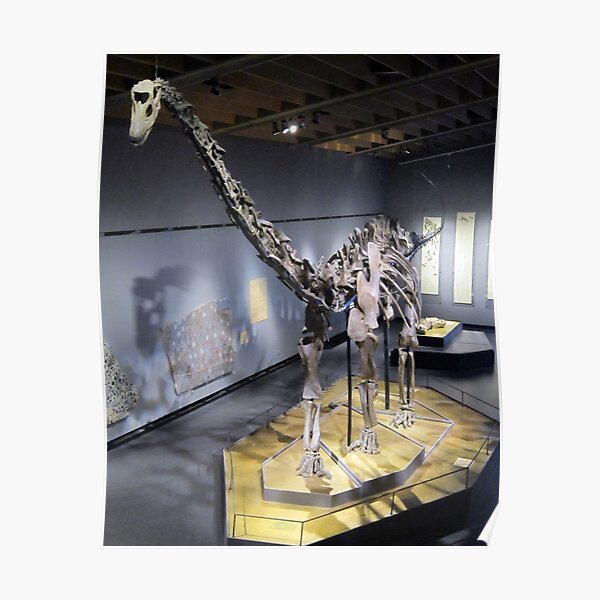 "Monstrous Mamenchisaurus" Poster by skeletonsrus | Redbubble