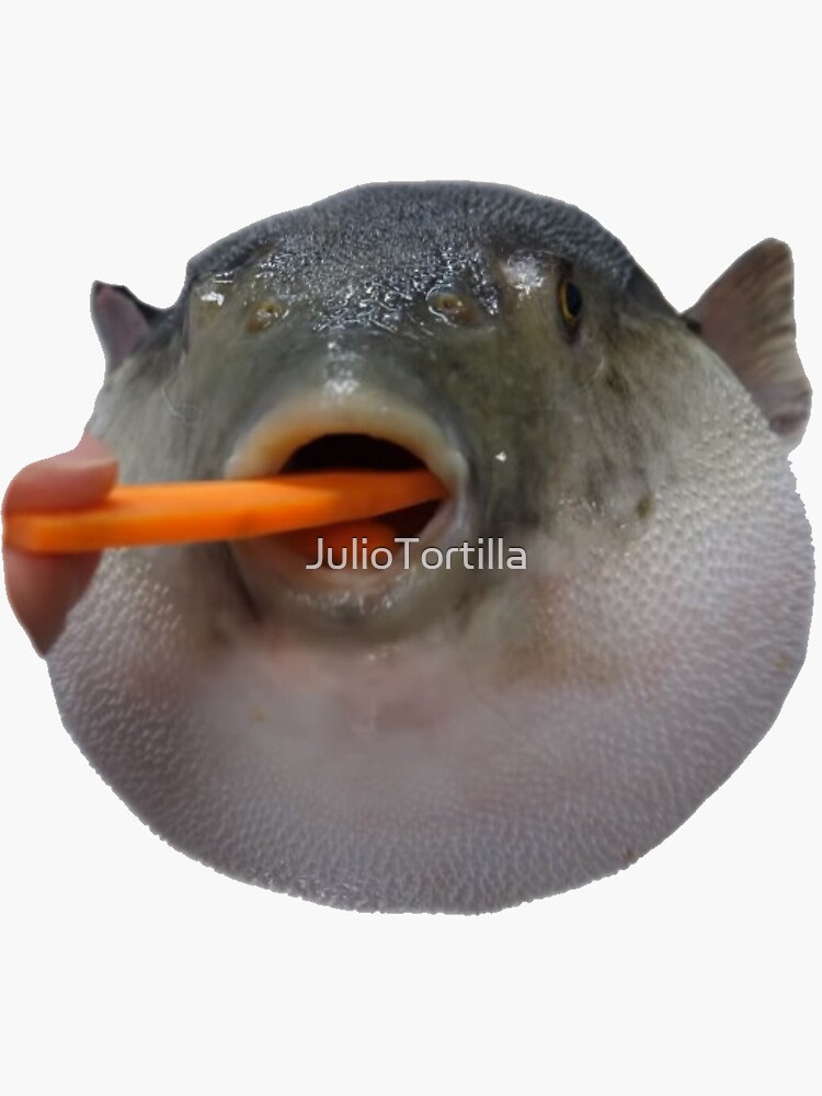 "Puffer Fish Eating Carrot " Sticker by JulioTortilla | Redbubble