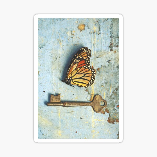 "Secrets" Sticker for Sale by Cloudlingpics | Redbubble