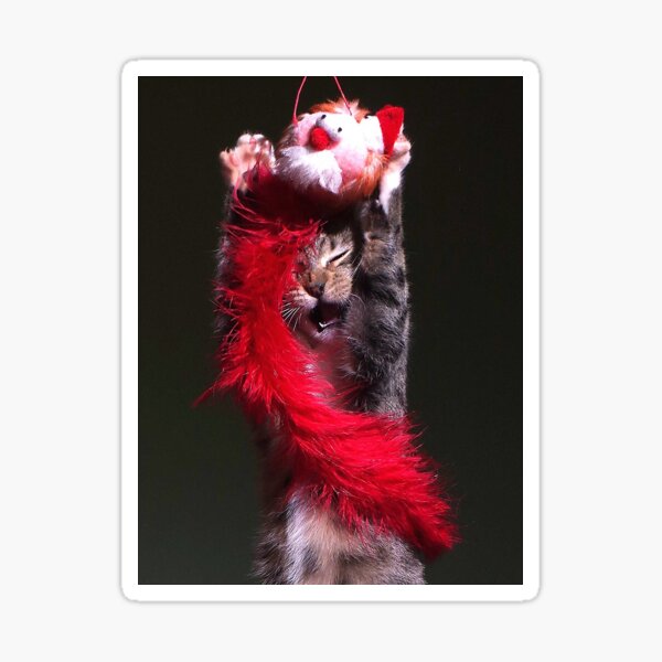 "Ticklish cat" Sticker by turniptowers | Redbubble